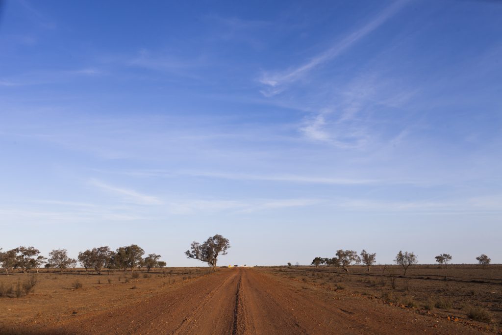 Behind the Scenes - Emu Runner Film