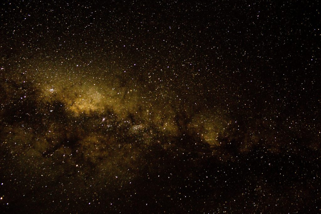 Behind the Scenes - Emu Runner Film