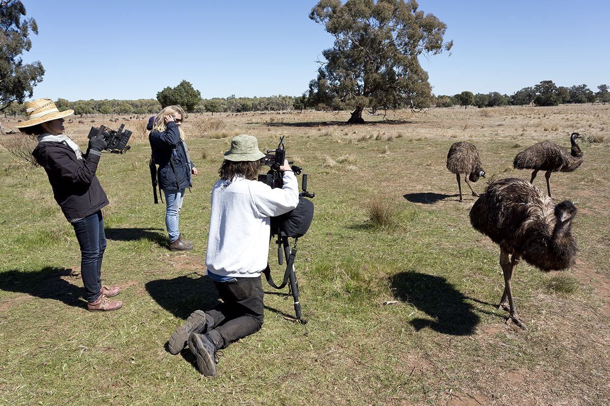 Stills - Emu Runner Film