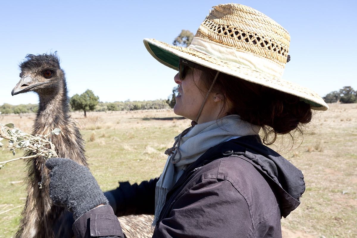 Stills - Emu Runner Film