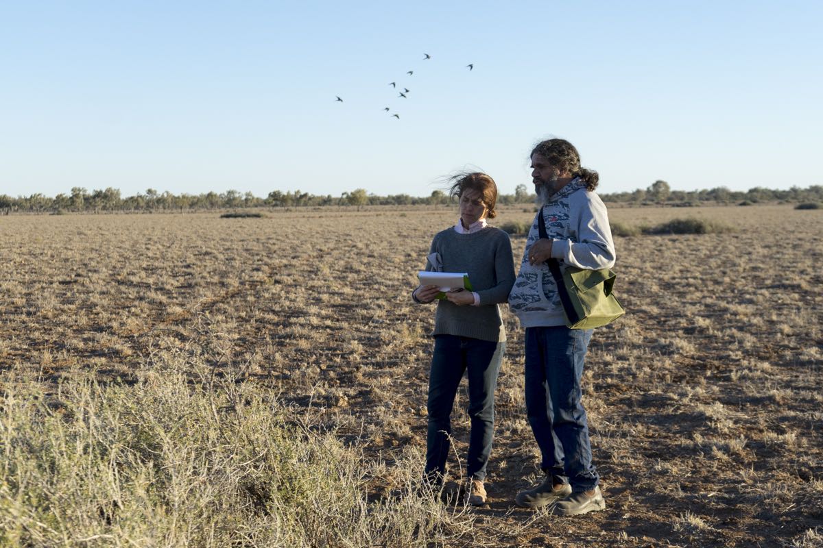 Stills - Emu Runner Film